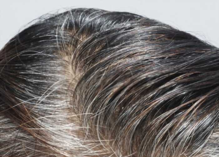 Everything About Grey Hair Nefertiti