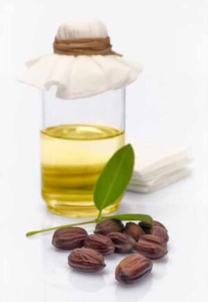 Drying Oils Vs Non-drying Oils - Nefertiti